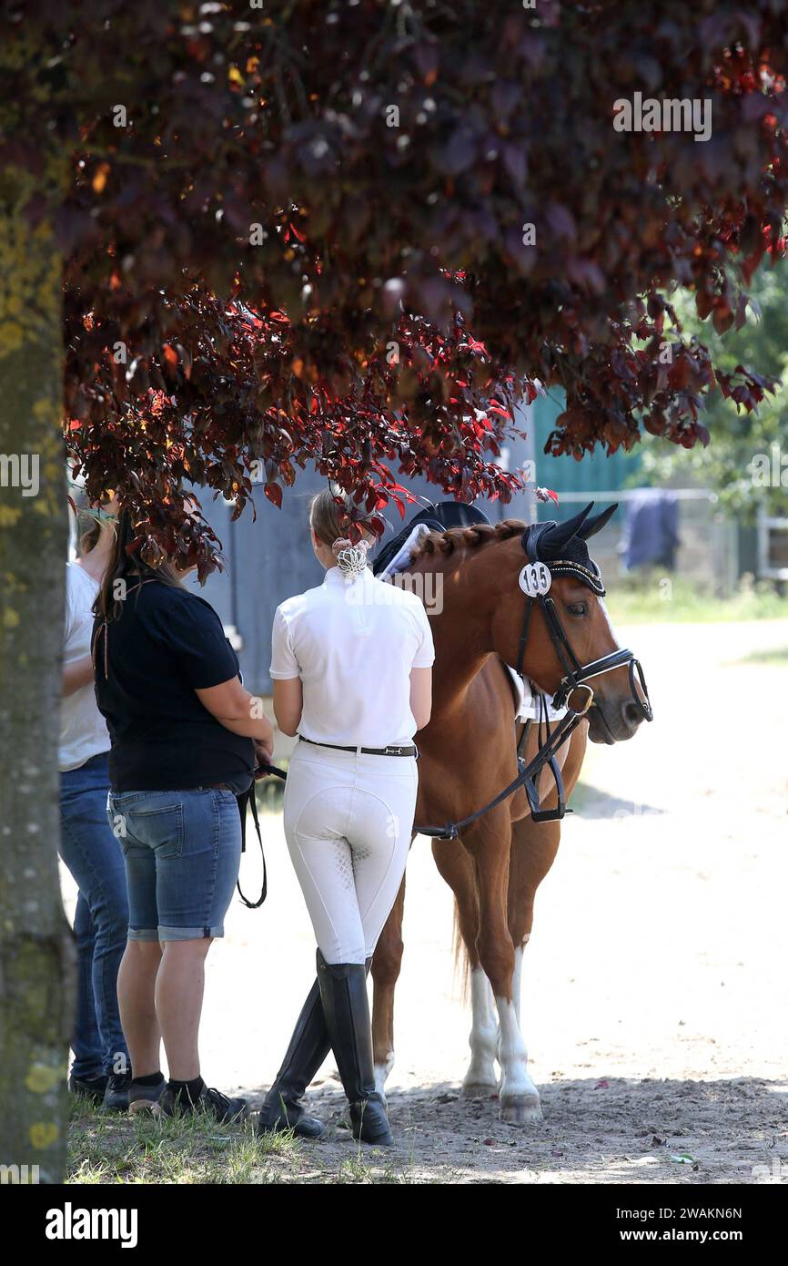 230611d378brieselang hi-res stock photography and images - Alamy