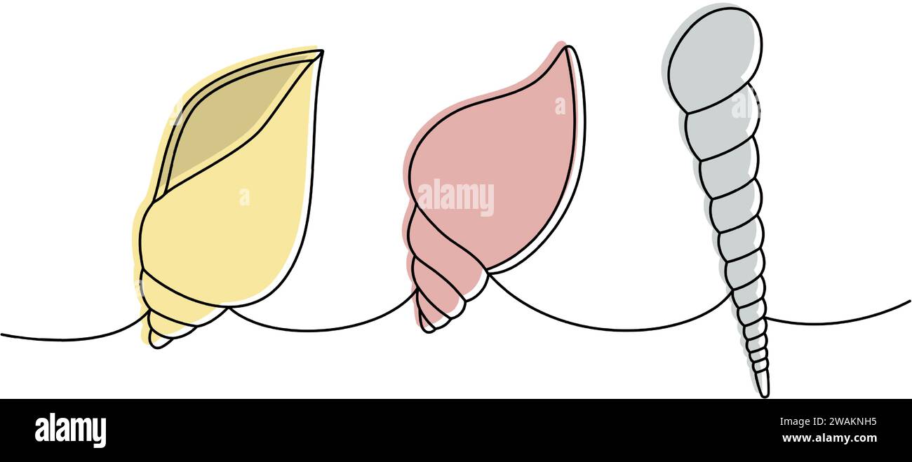 Mollusks. Sea shells, mollusks, scallop, pearls. Tropical underwater ...