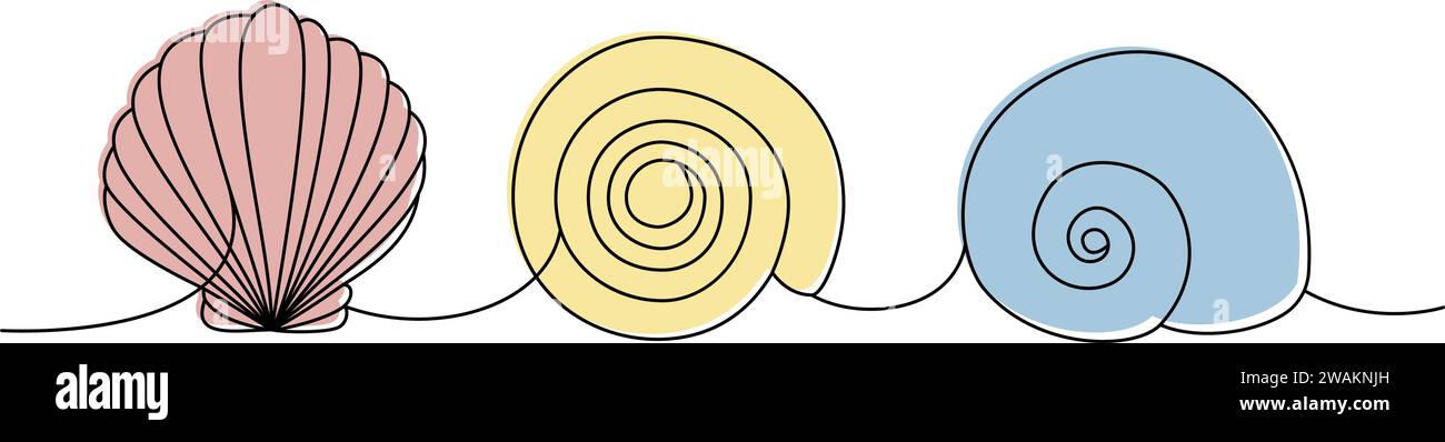 Scallop sea shells. Sea shells, mollusks, scallop, pearls. Tropical ...