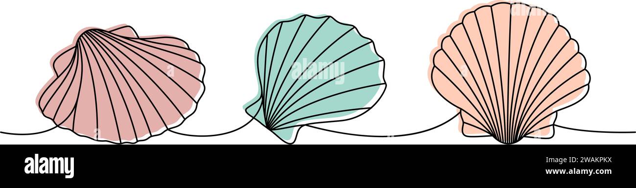 Underwater shells. Sea shells, mollusks, scallop, pearls. Tropical ...