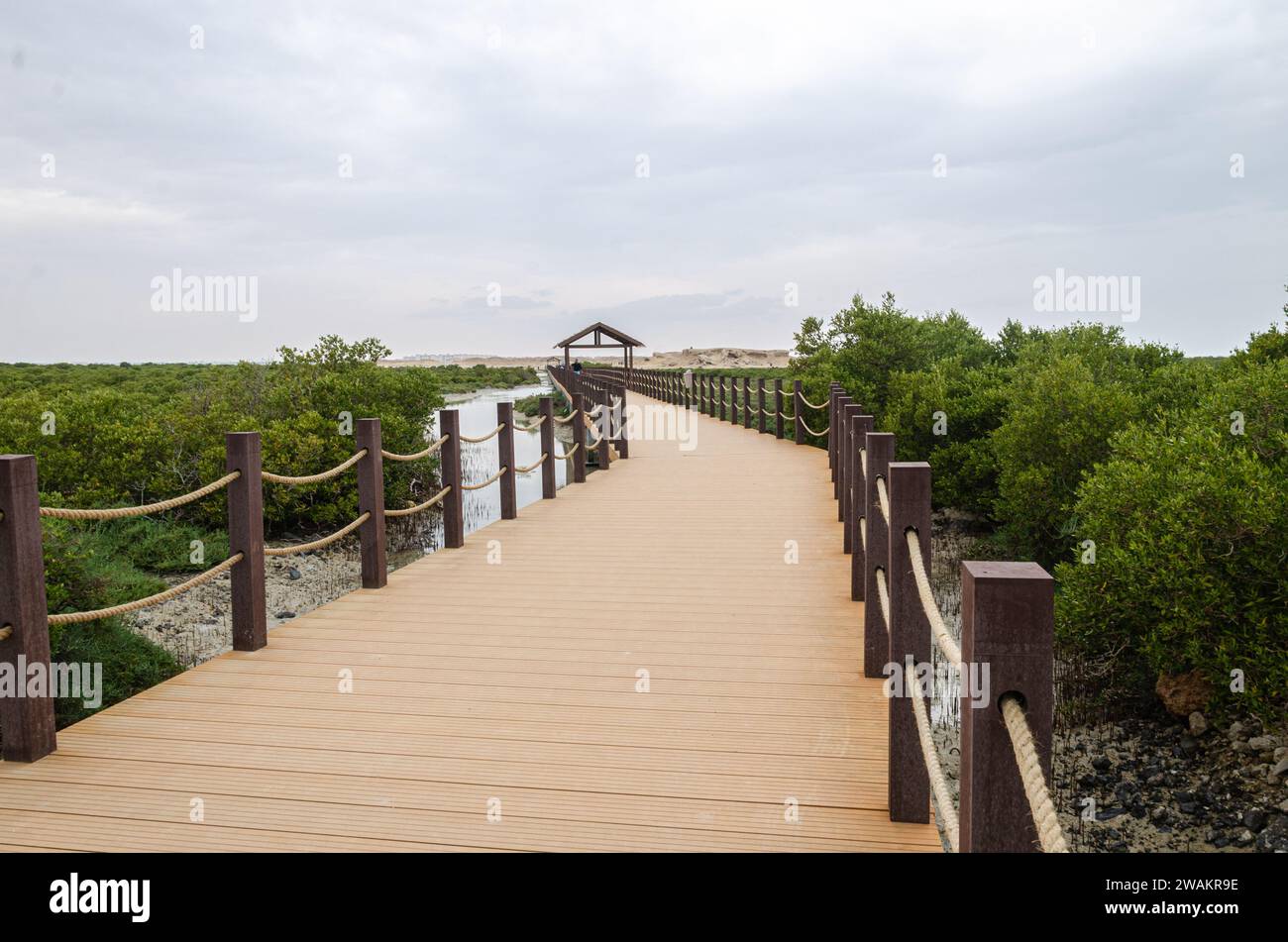 Foraminifera rock hi-res stock photography and images - Alamy