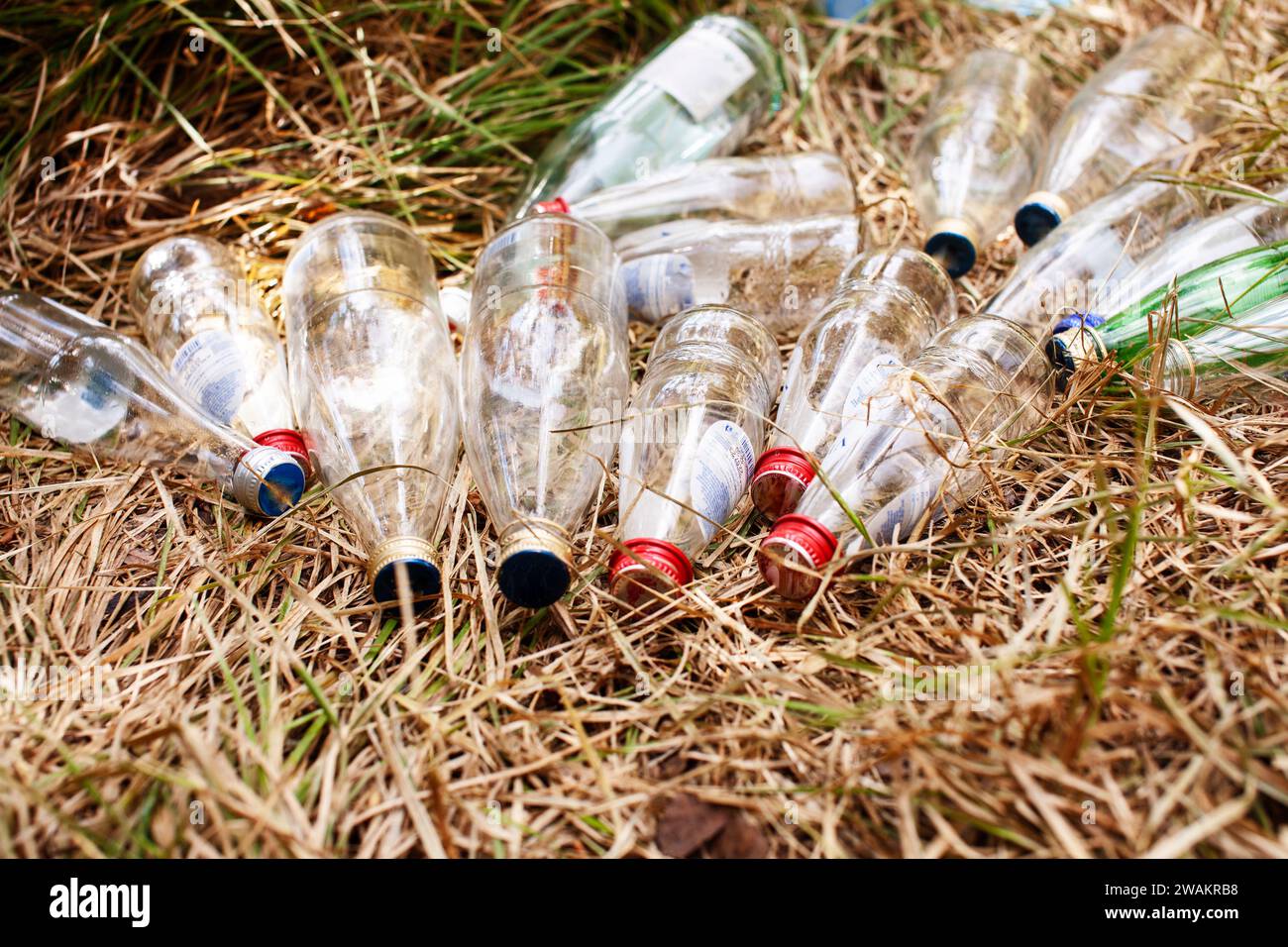 real simple green landscape, nature pollution with plastic bottle Stock ...