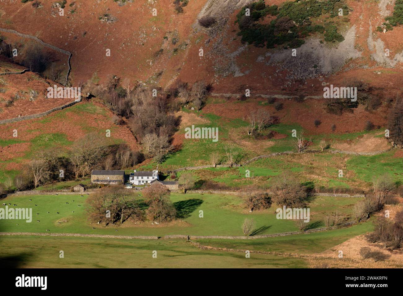 Busk House and Lingmoor in Little Langdale, Cumbria Stock Photo - Alamy