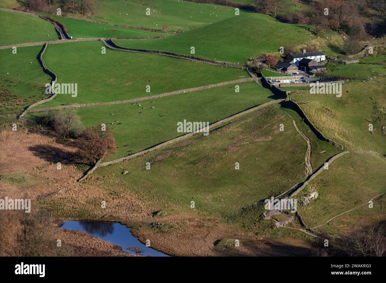 Langdale valley farm hi-res stock photography and images - Alamy