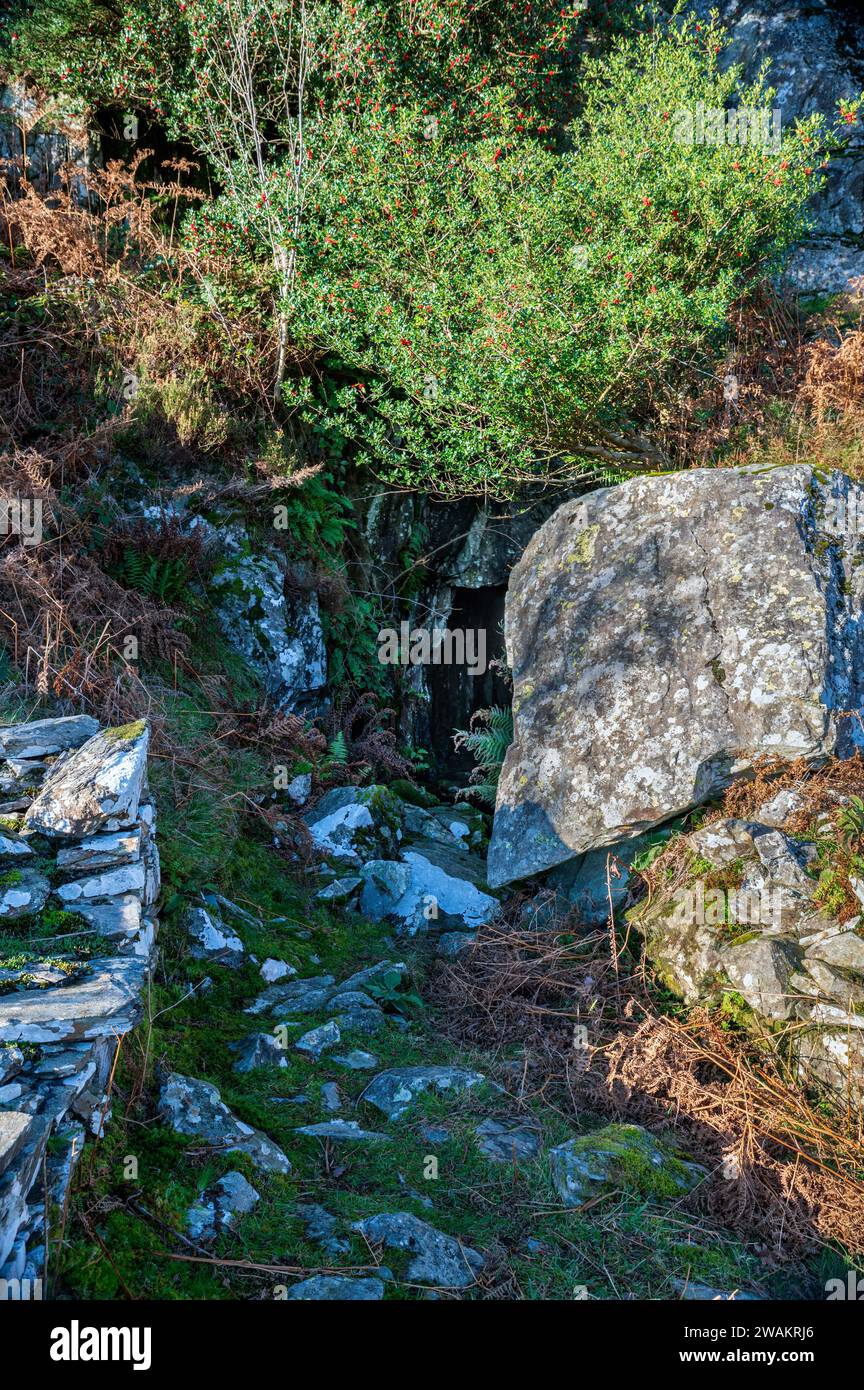 Old quarry entrance on Low Fell near Tilberthwaite in The Coniston ...