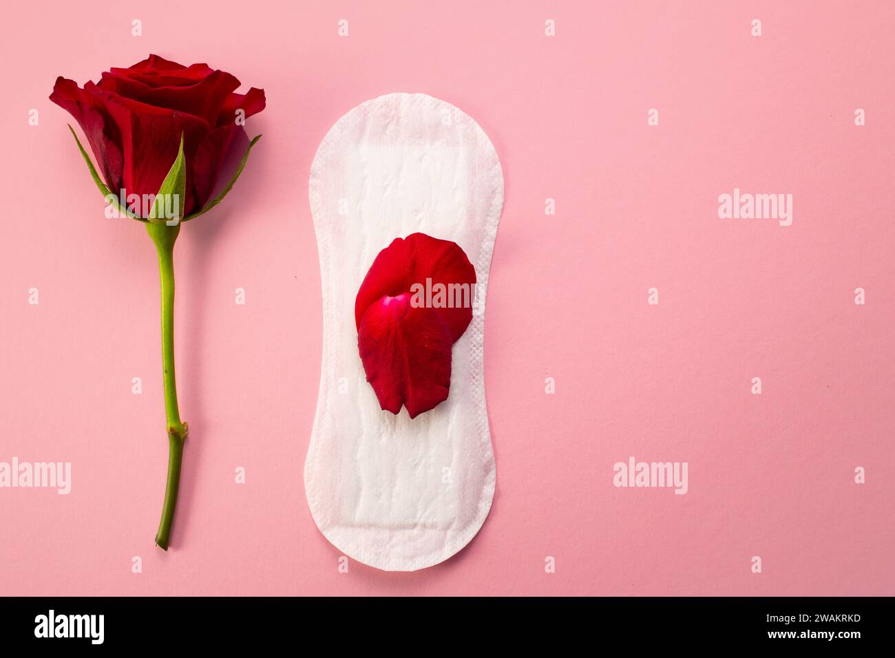 Feminine hygiene pad with red glitter and rose flower. First menstrual ...