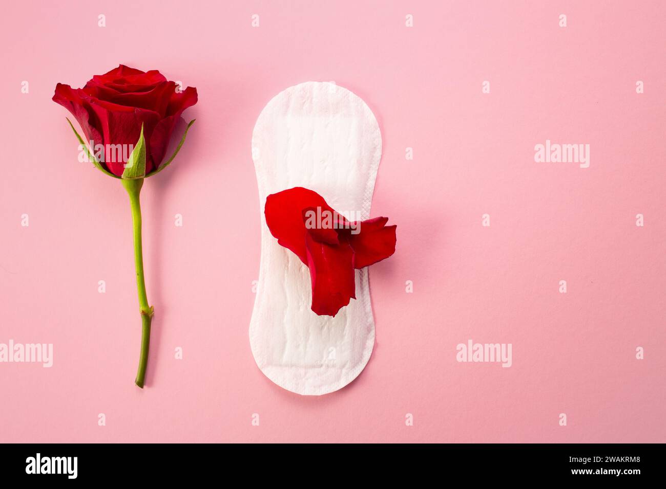 Feminine hygiene pad with red glitter and rose flower. First menstrual ...
