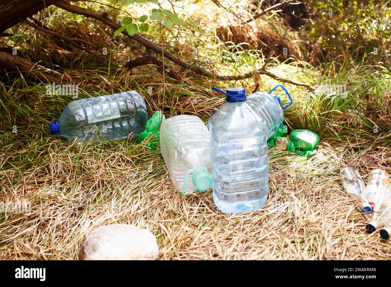 real simple green landscape, nature pollution with plastic bottle Stock ...