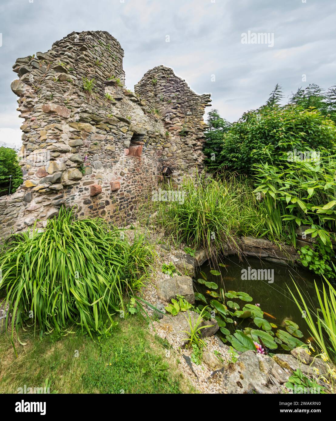 Thomas learmoth hi-res stock photography and images - Alamy