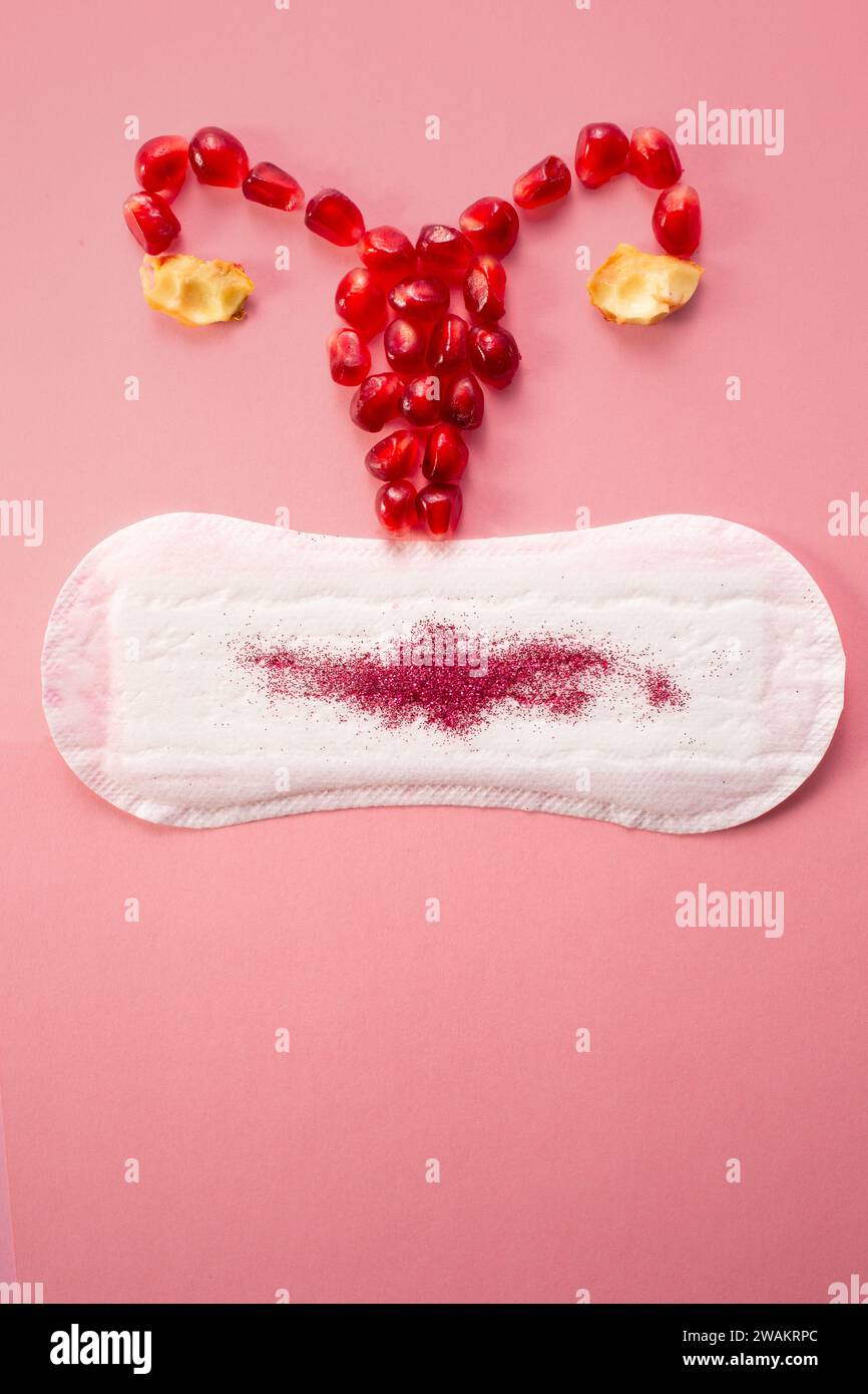 Feminine hygiene pad with and uterus made of pomegranatered. First ...