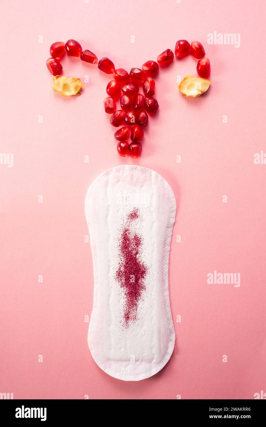 Feminine hygiene pad with and uterus made of pomegranatered. First ...