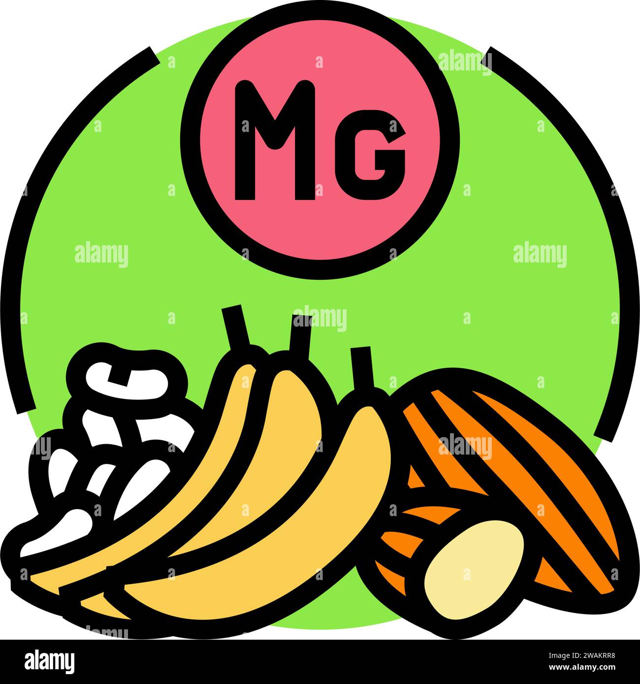 magnesium rich food osteoporosis color icon vector illustration Stock ...