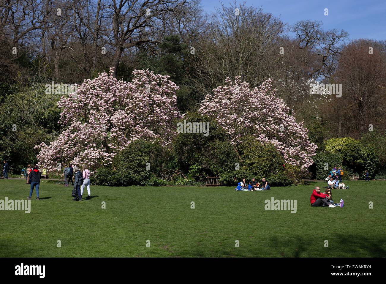 London hampstead heath flowers hi-res stock photography and images - Alamy