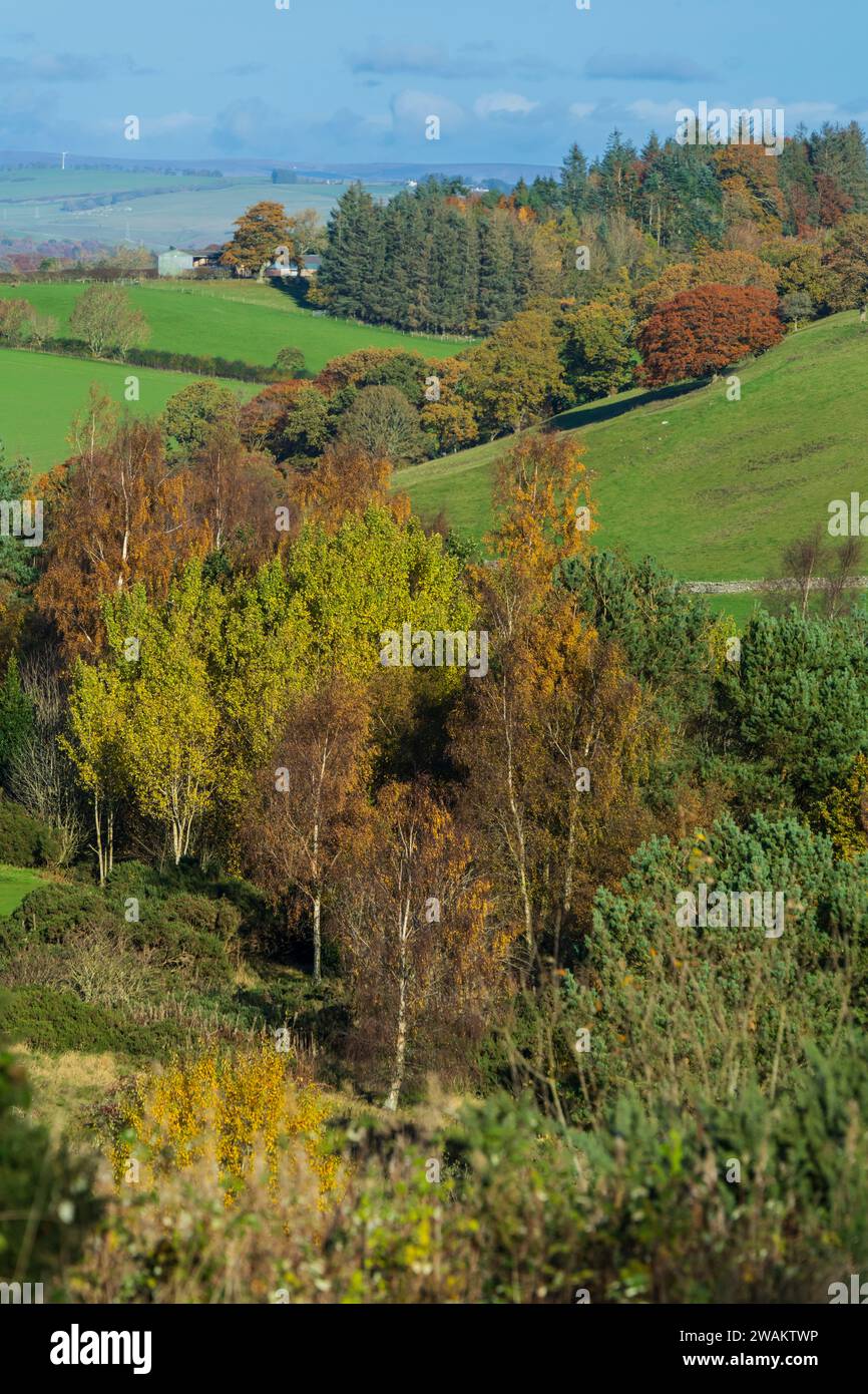 Ettrick valley selkirk scottish borders hi-res stock photography and ...