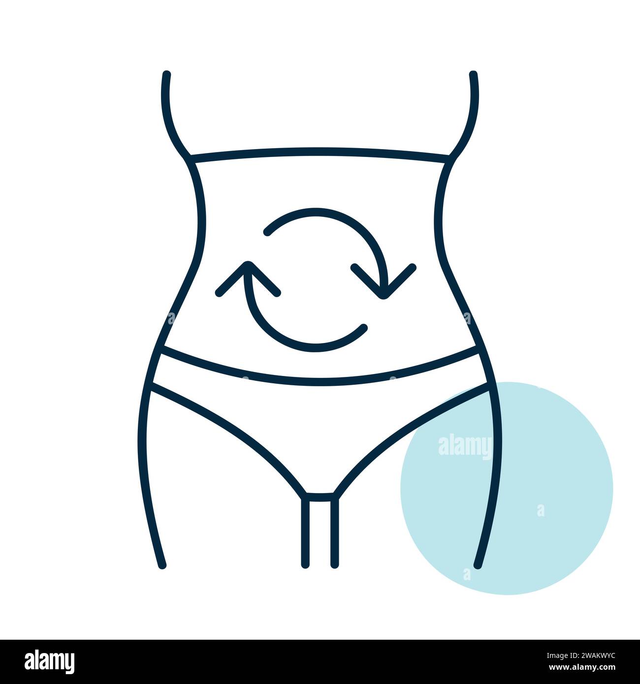 The health of the digestive vector icon. The women's belly sign. Graph ...