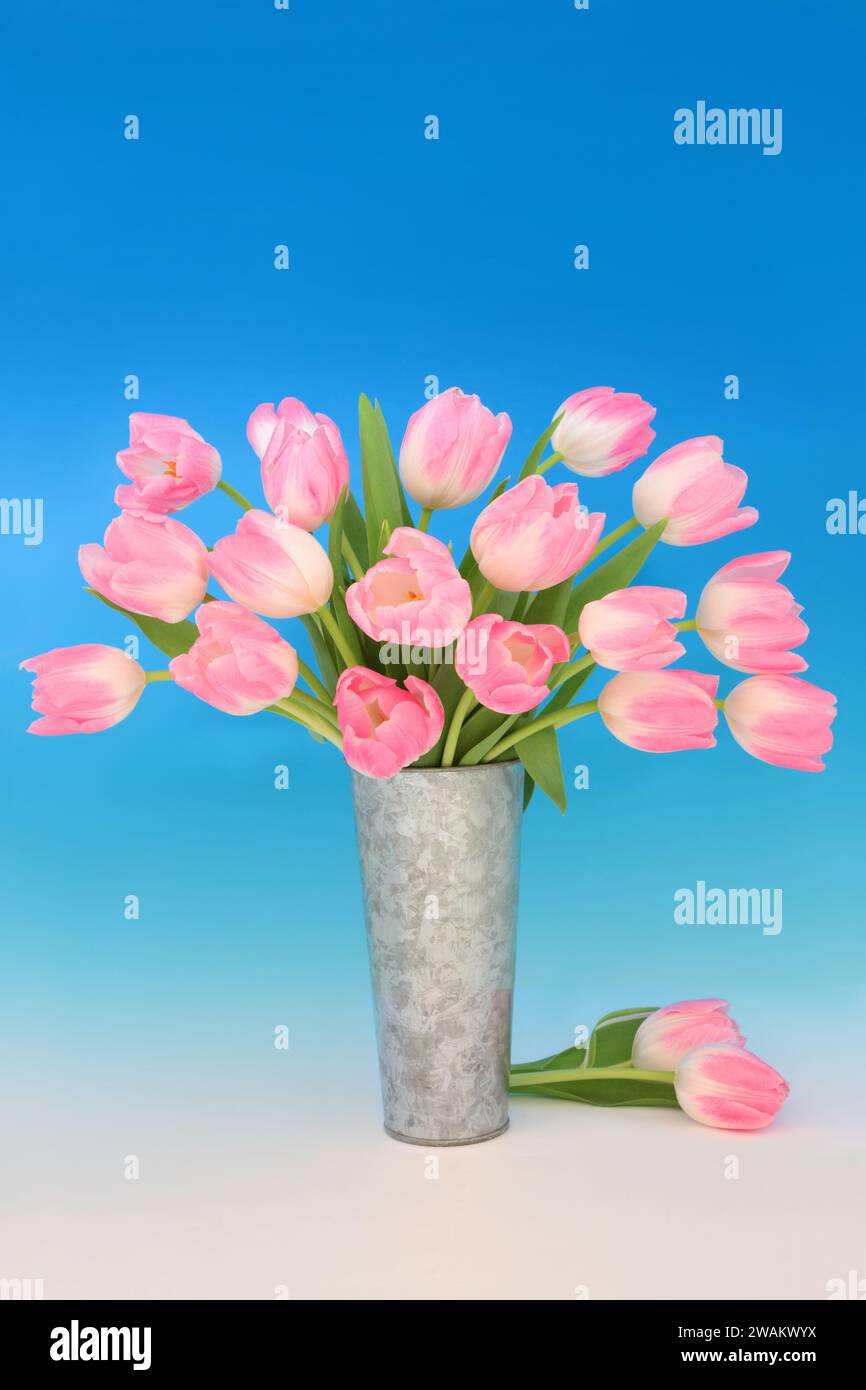Spring tulip flower arrangement in metal retro vase on gradient blue ...