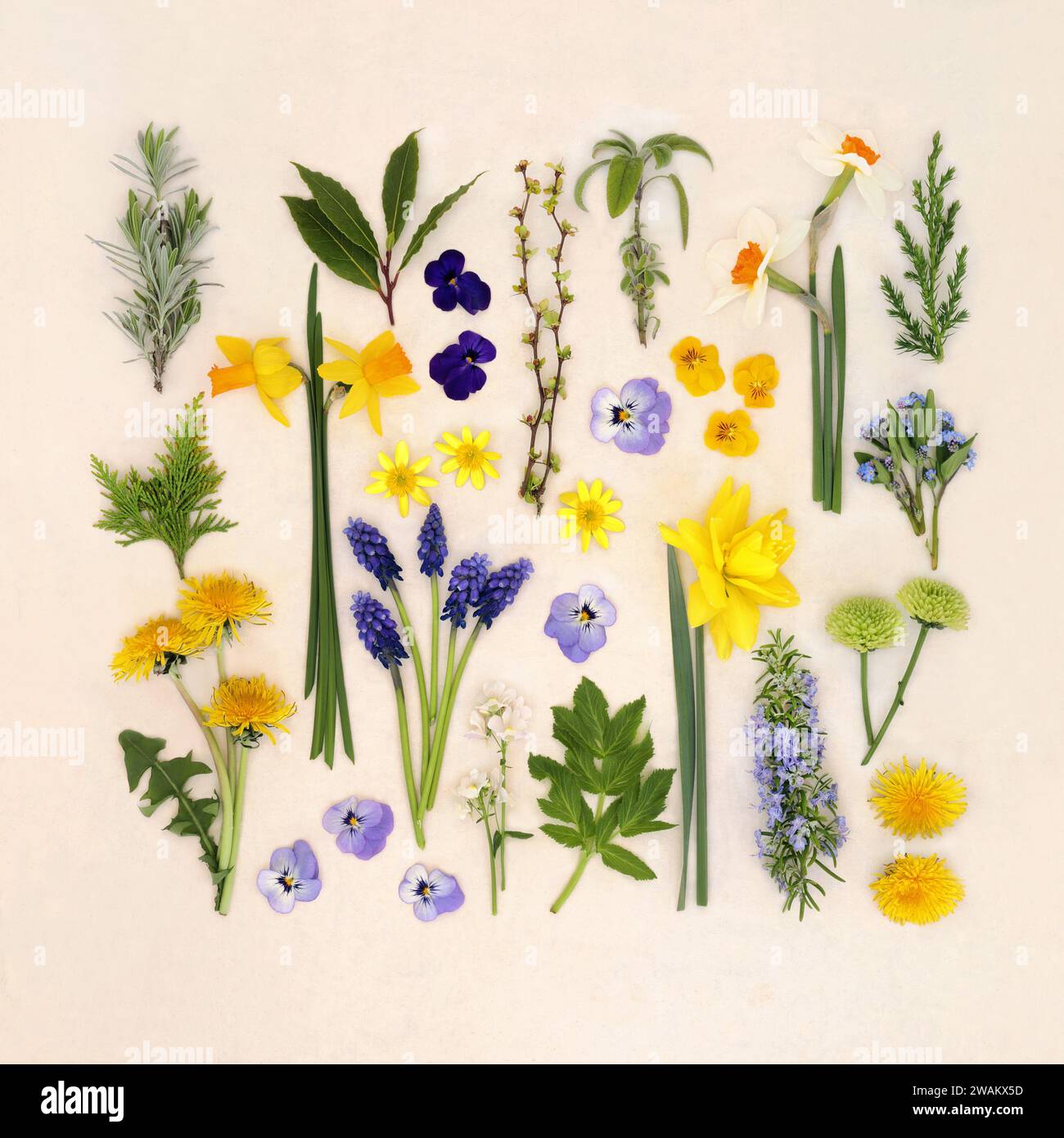 Spring season flower and herb large collection on natural hemp paper ...