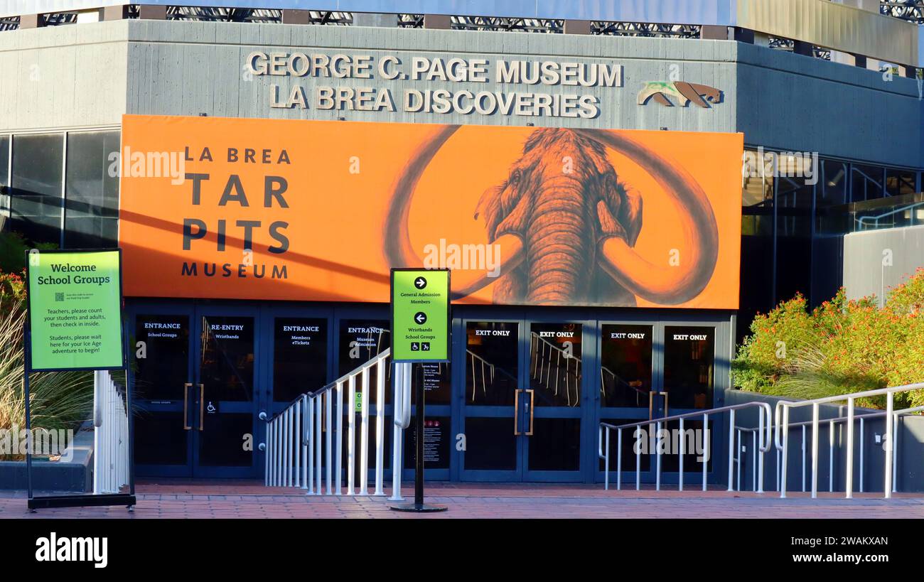 Los Angeles, California: LA BREA TAR PITS and Museum, one of the world ...