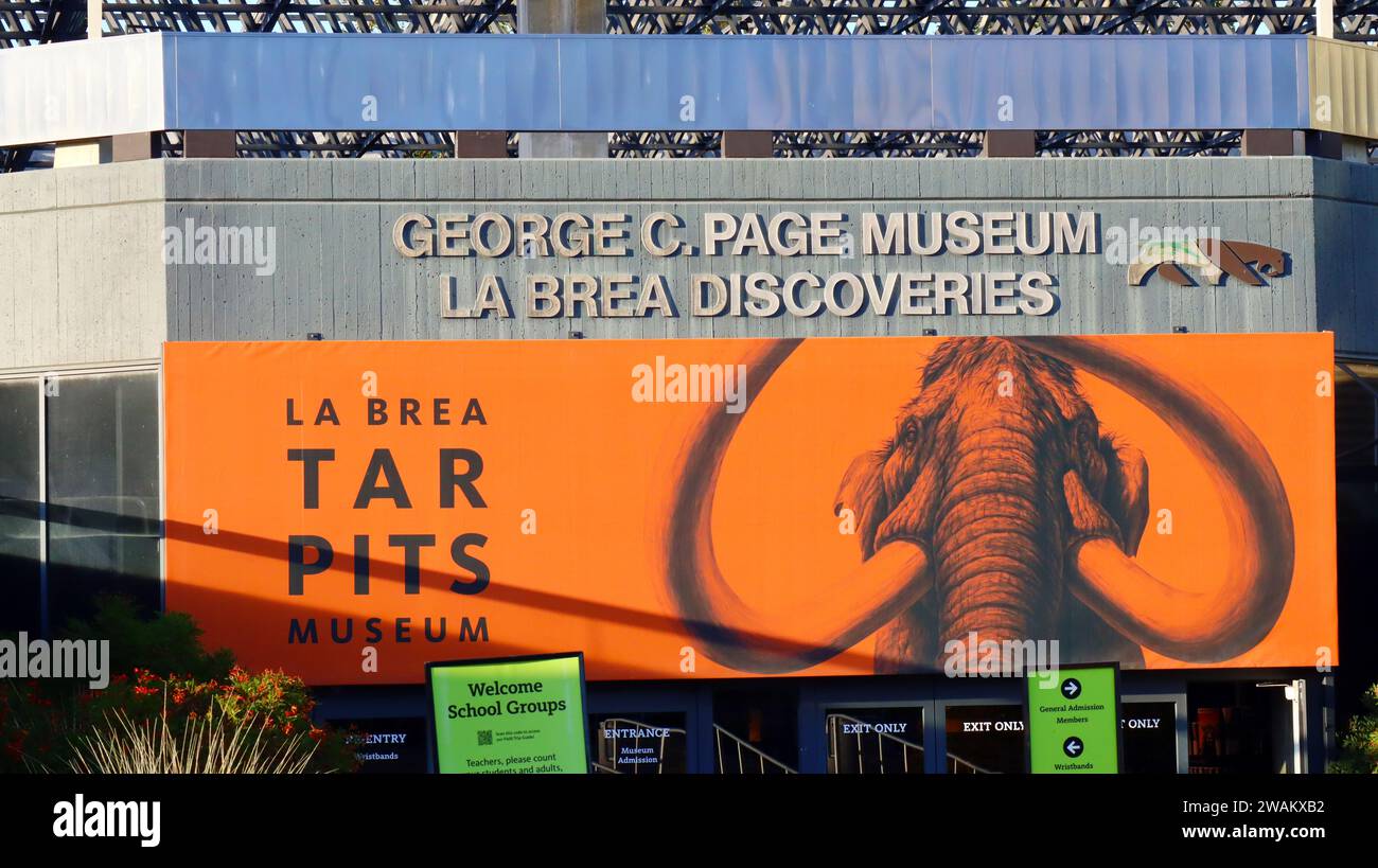 Los Angeles, California: LA BREA TAR PITS and Museum, one of the world ...