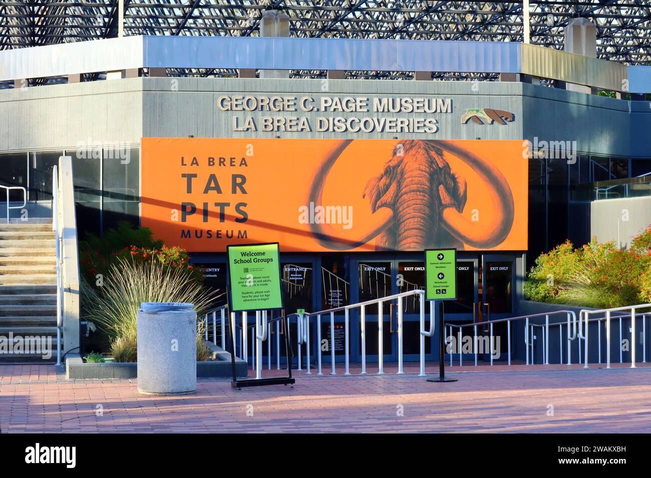Los Angeles, California: LA BREA TAR PITS and Museum, one of the world ...