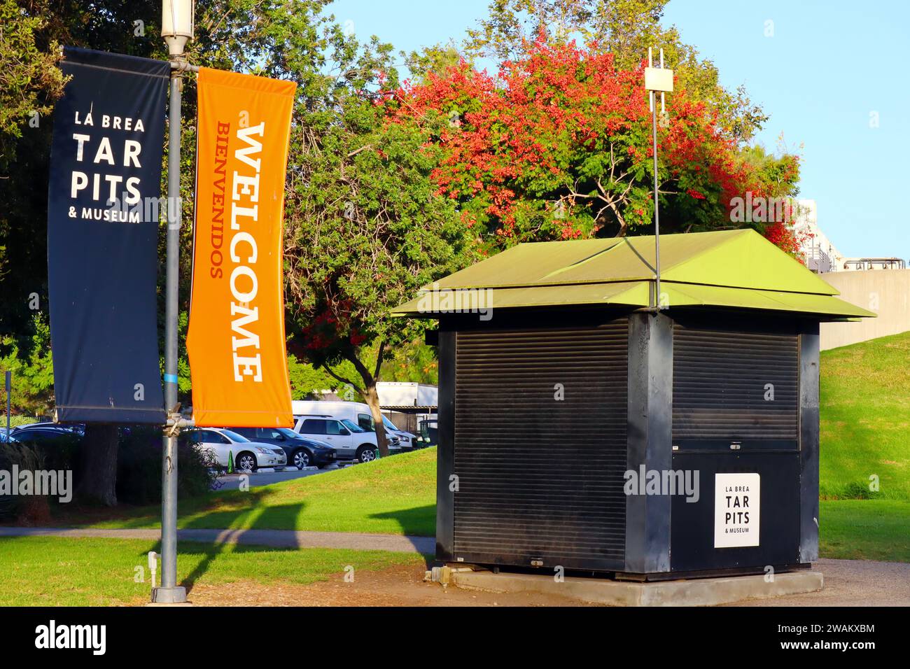 Los Angeles, California: LA BREA TAR PITS and Museum, one of the world ...