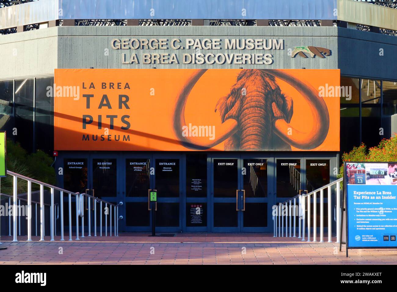 Los Angeles, California: LA BREA TAR PITS and Museum, one of the world ...