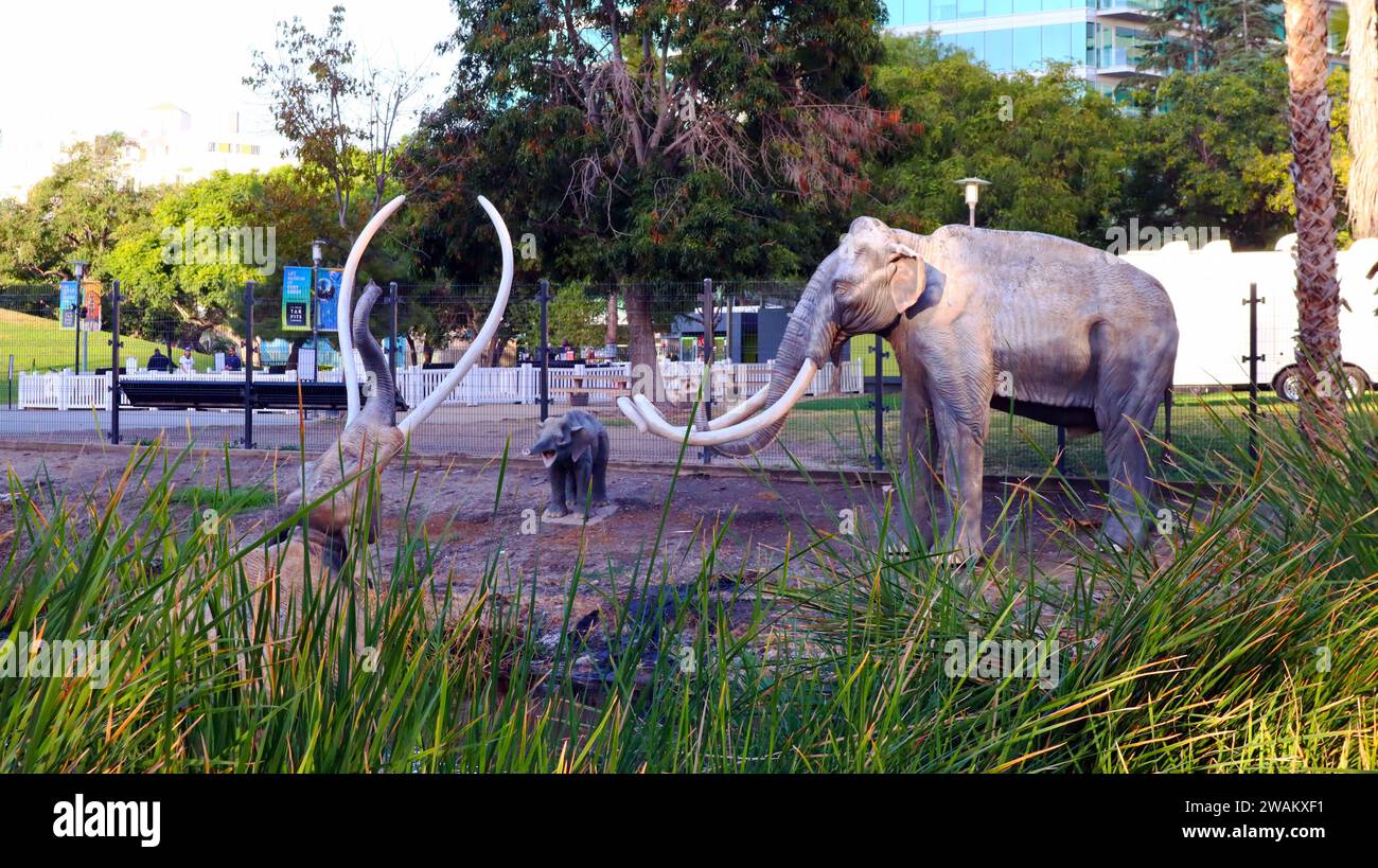 Los Angeles, California: LA BREA TAR PITS and Museum, one of the world ...