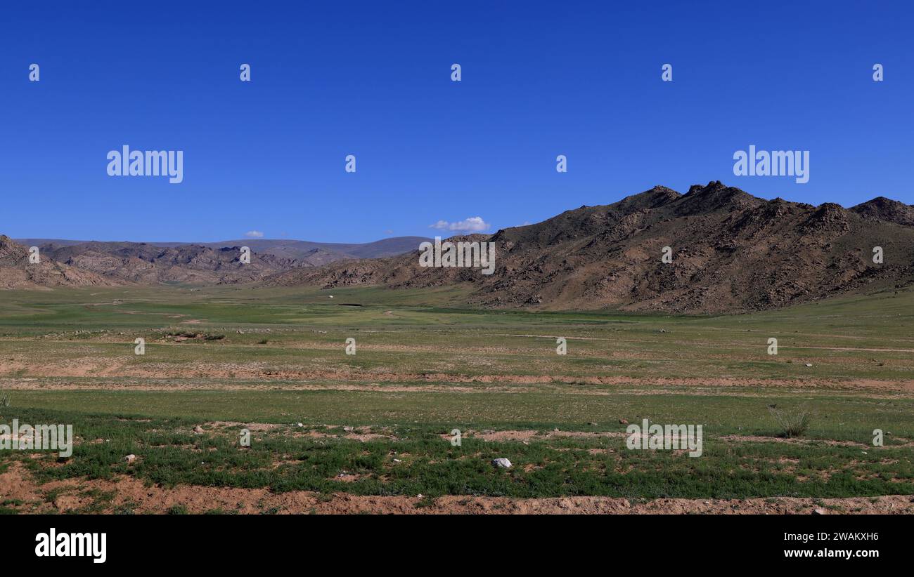 The green Mongolian steppes in summer Stock Photo - Alamy
