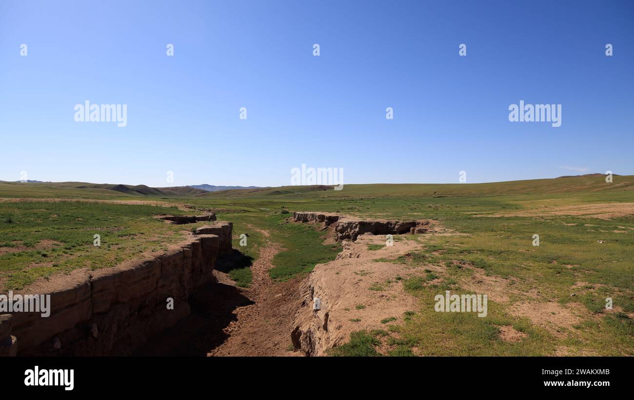 The Mongolian green steppe in summer Stock Photo - Alamy