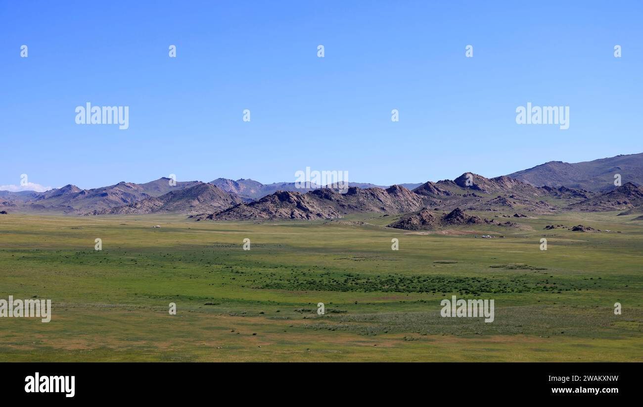 The green Mongolian steppes in summer Stock Photo - Alamy