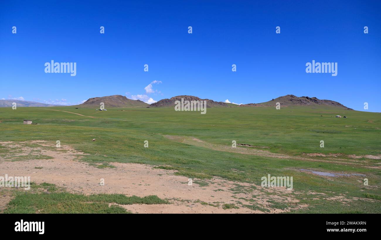The green Mongolian steppes in summer Stock Photo - Alamy