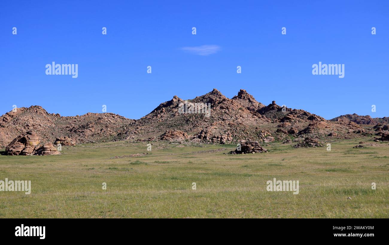 The green Mongolian steppes in summer Stock Photo - Alamy