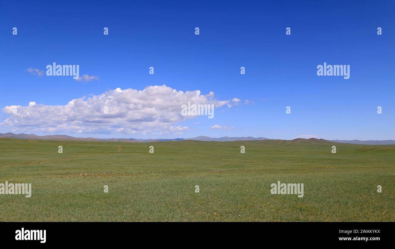 The green Mongolian steppes in summer Stock Photo - Alamy