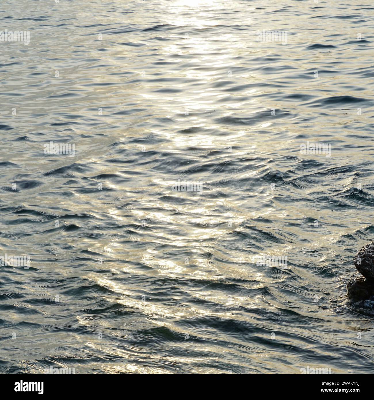 Sea background abstract water wave ripple vertical hi-res stock ...