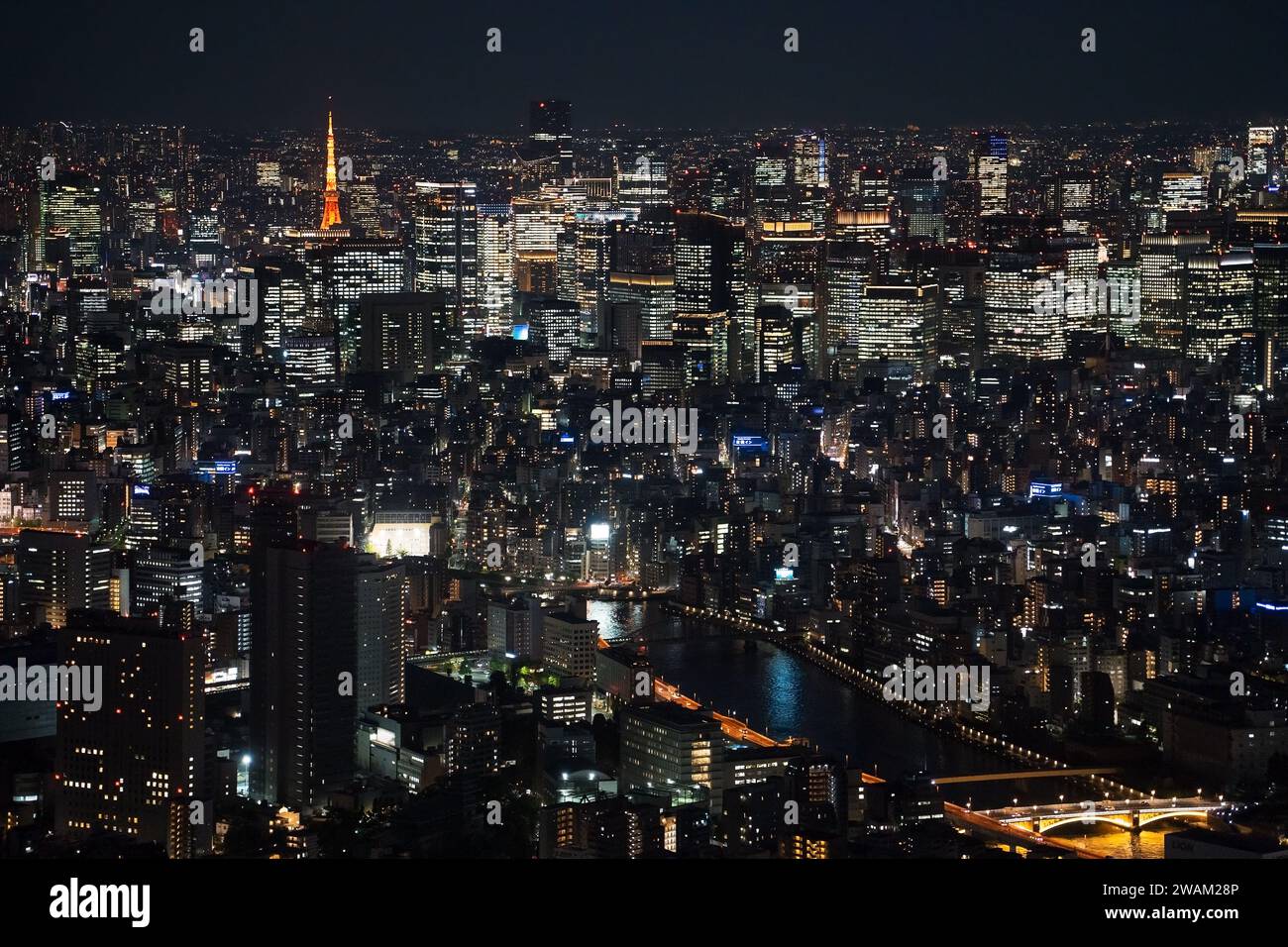 Aerial view over the city Tokyo Metropolis with its high rise, buildings, skyscrapers, Sumida ...