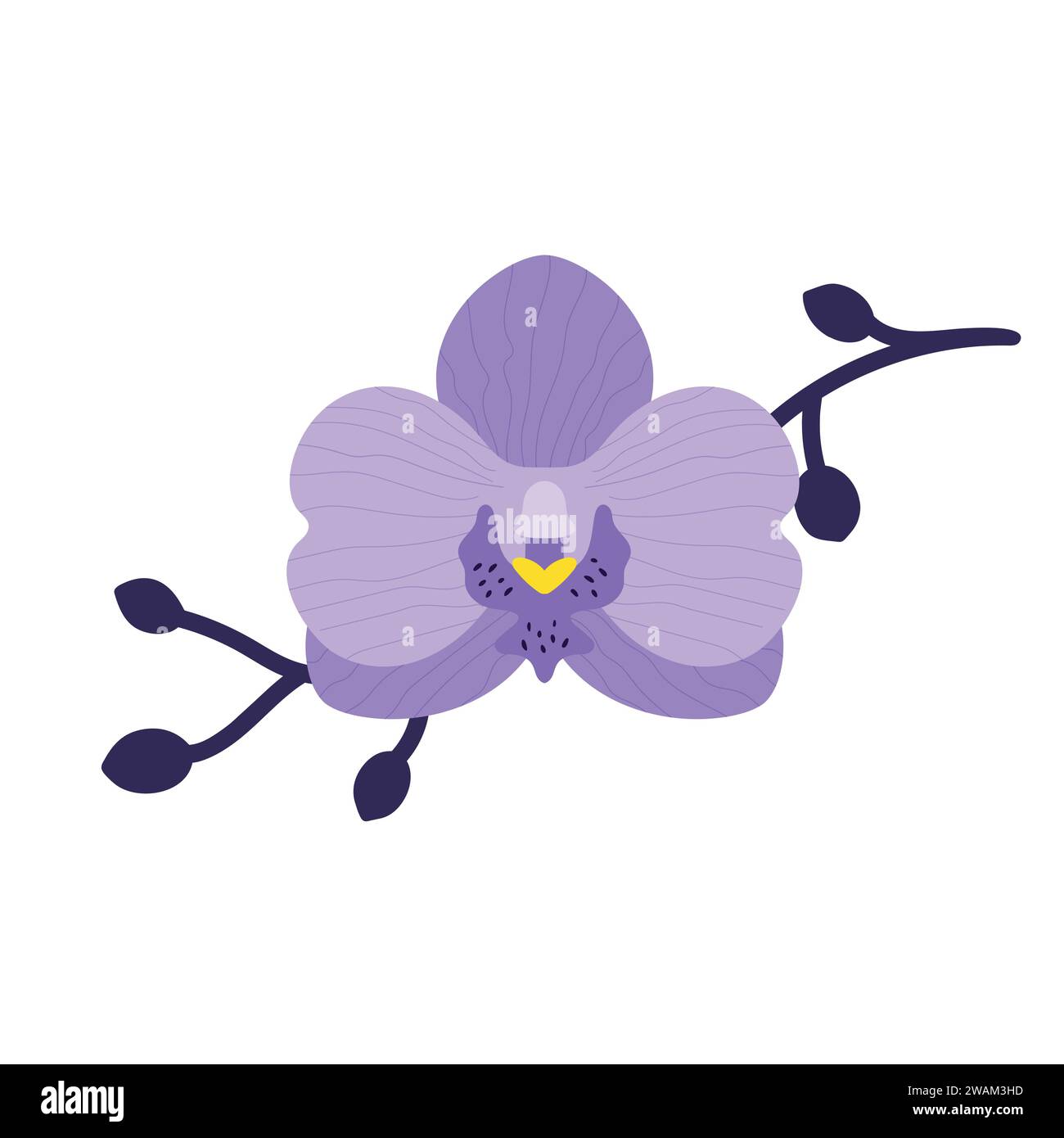 Hand drawn purple orchid flower with branch. Flat style. Vector ...