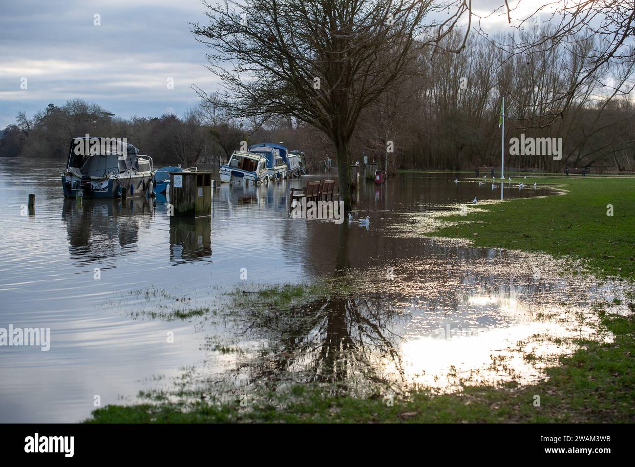 Marlow, UK. 5th January, 2024. The River Thames has burst it's banks in ...
