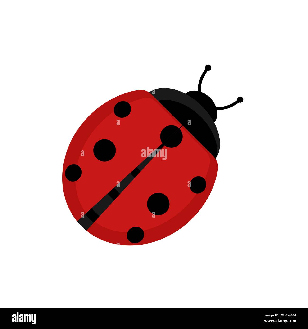 Cute red ladybug beetle insect in flat style on isolated on white ...