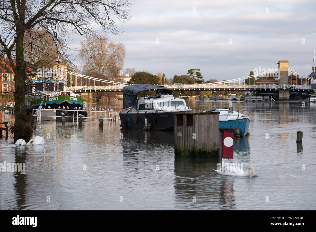 Marlow, UK. 5th January, 2024. Views of Marlow Bridge across floodwater ...