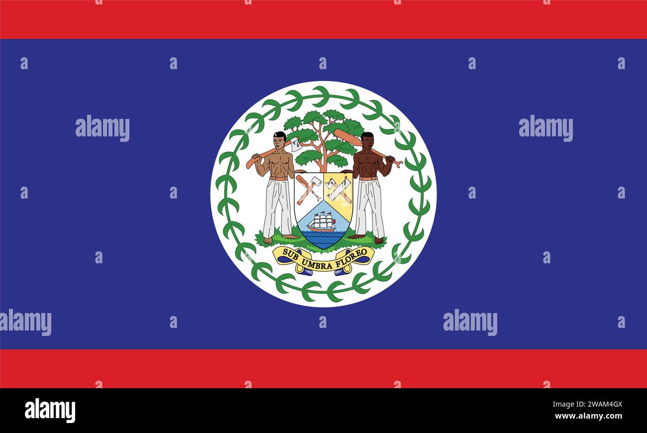 High detailed flag of Belize. National Belize flag. North America. 3D ...