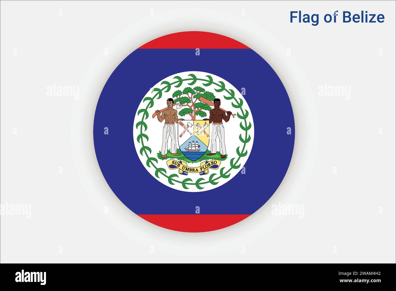 High detailed flag of Belize. National Belize flag. North America. 3D ...