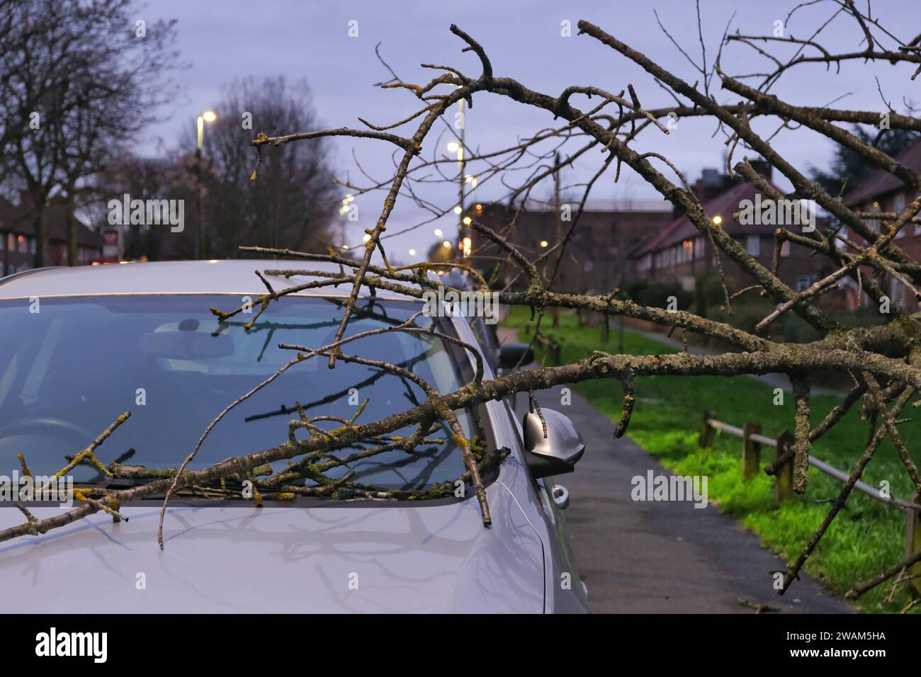 Wind Tree London Photographer Pictures From London And Storm Bert