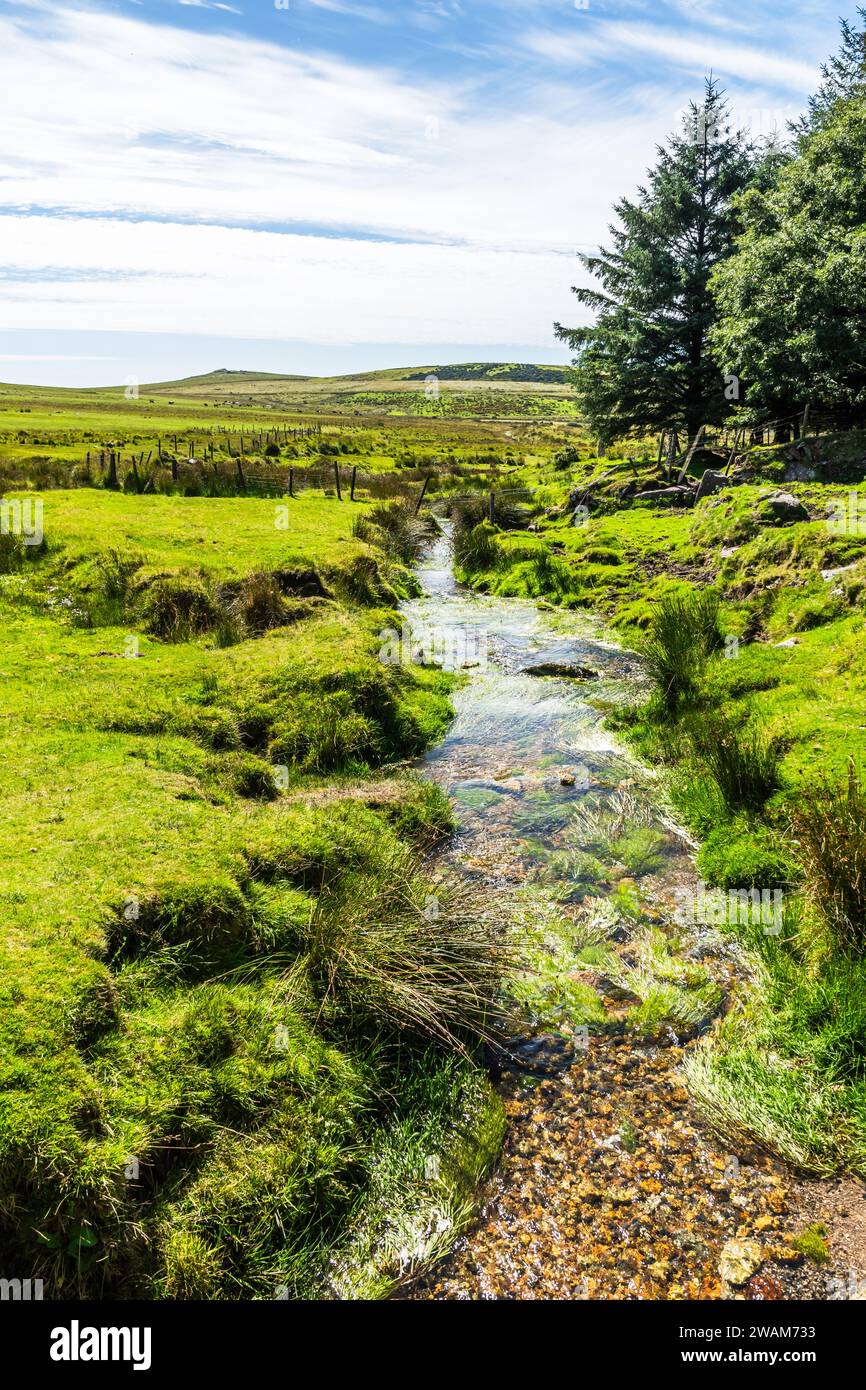 Creek at the foot of Rough Tor in Cornwall, England, UK Stock Photo - Alamy