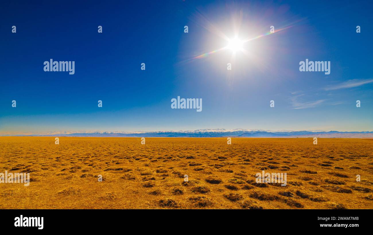 field covered with dry grass bumps with distant high mountains on the ...