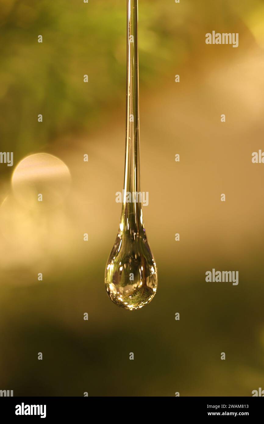 Beautiful close up glass hi-res stock photography and images - Alamy