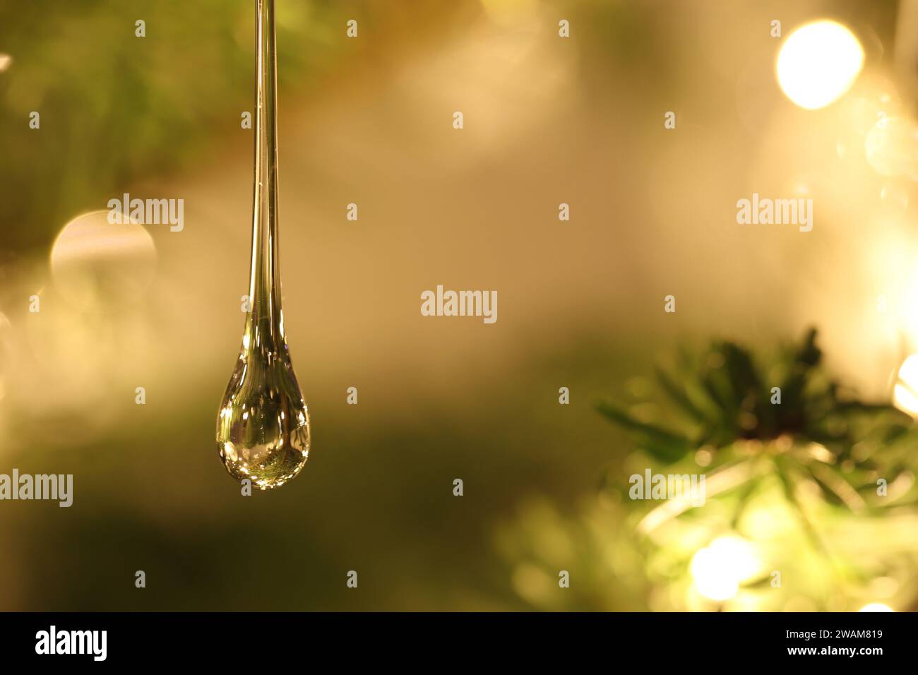 Close-up of glass Christmas tree decoration in teardrop shape ...