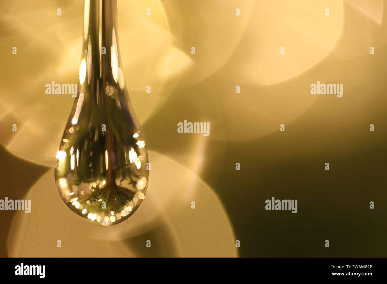 Teardrop shape hi-res stock photography and images - Alamy