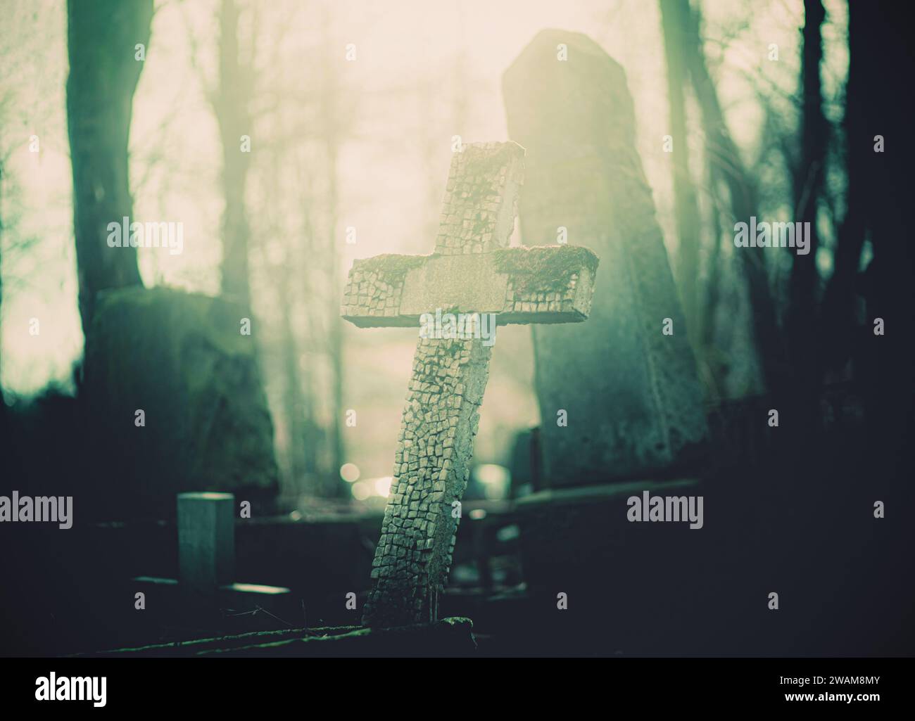 In the cemetery, among the graves, there is a tombstone cross ...