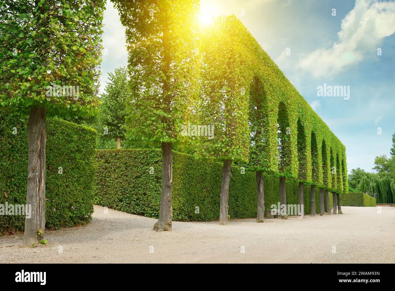 Hedges road park hi-res stock photography and images - Alamy