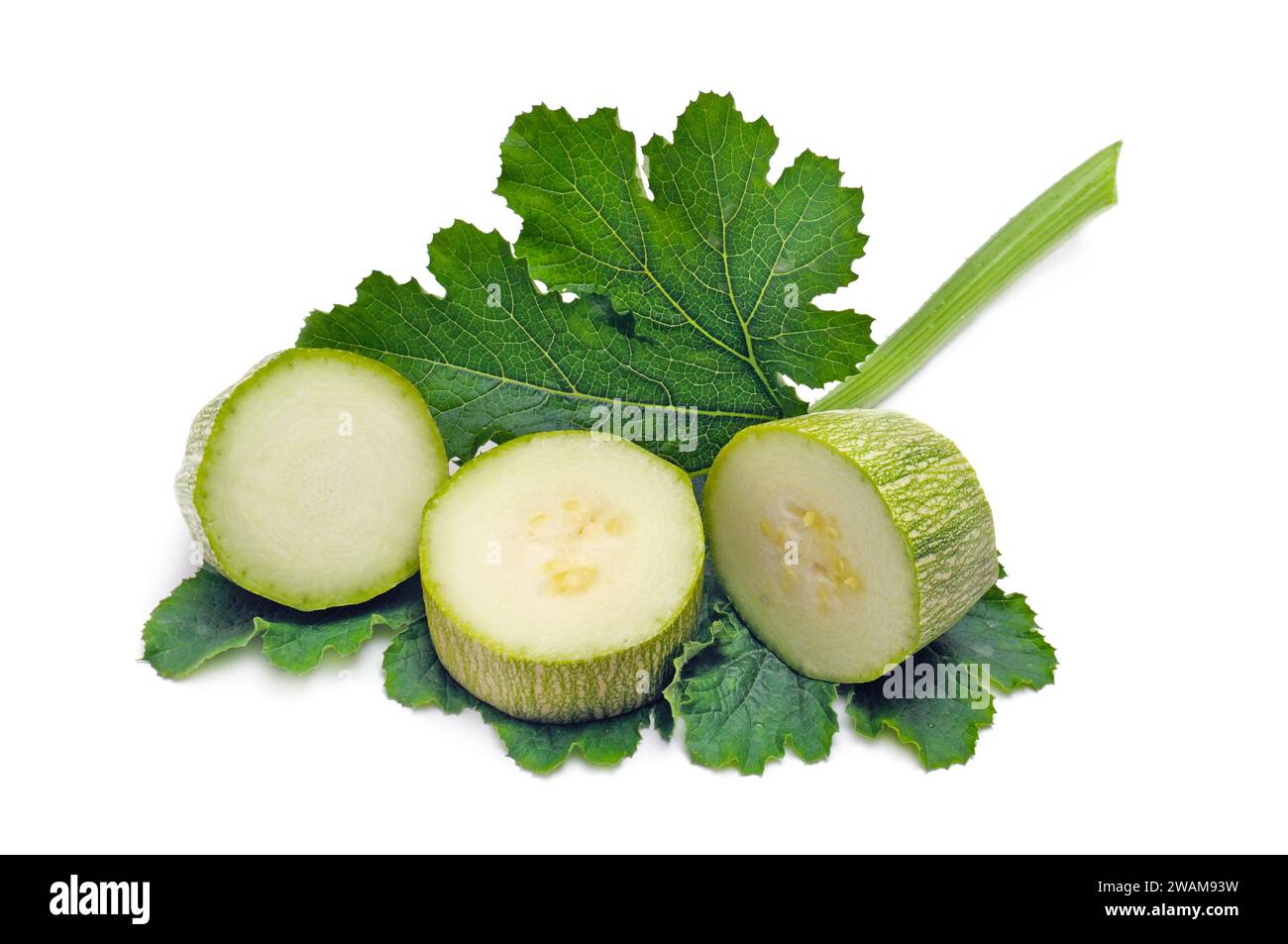 fresh zucchini isolated on white Stock Photo - Alamy